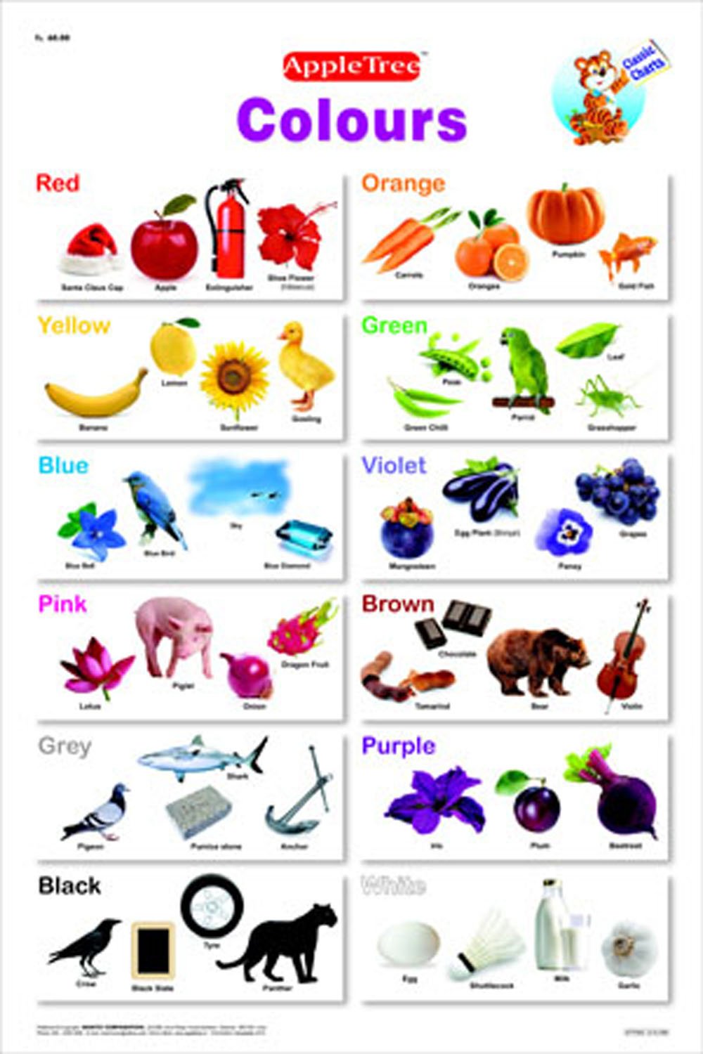Colours AppuWorld